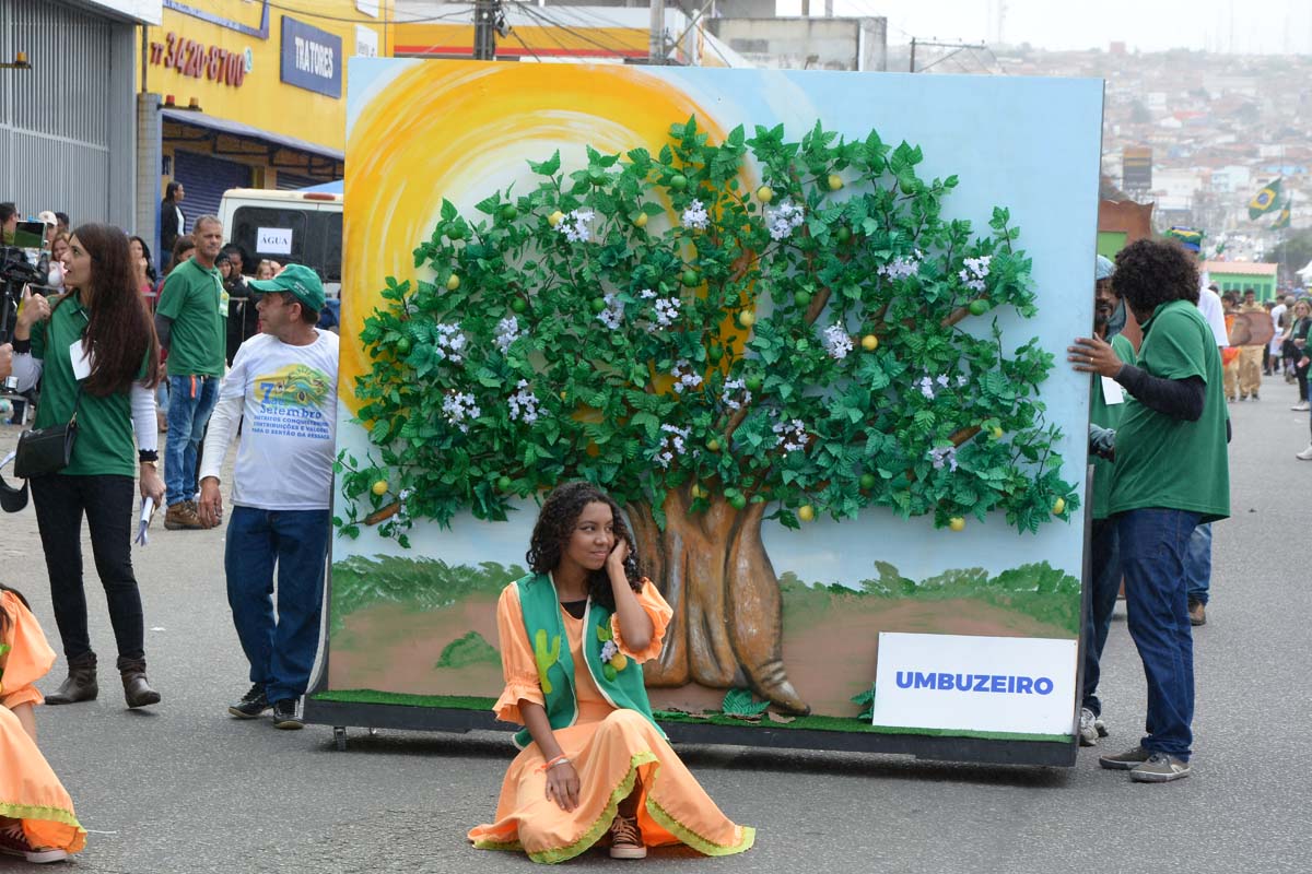 Desfile de 7 de Setembro emocionou o público com tema em homenagem aos distritos conquistenses ...
