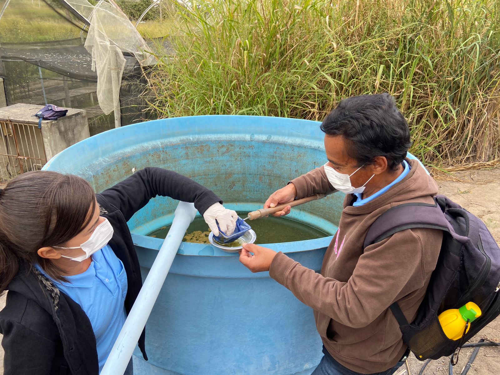 Com chuvas, índice de infestação do Aedes aegypti aumenta na cidade ...