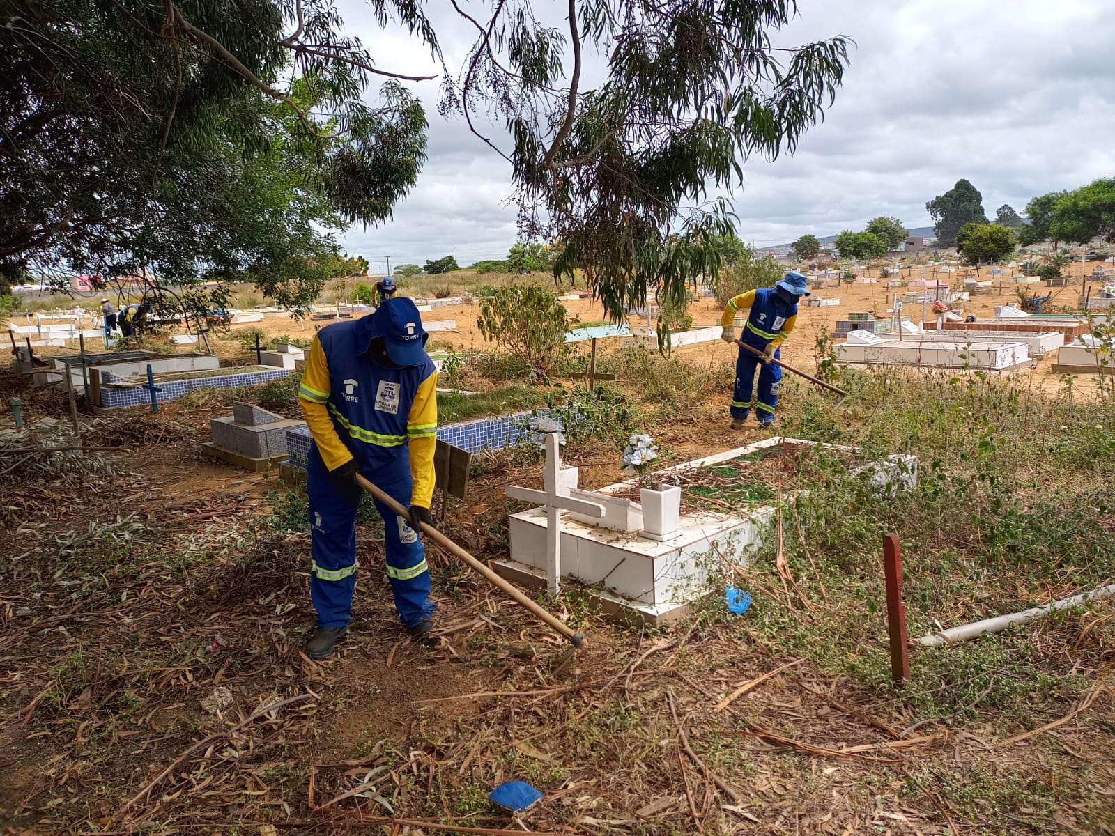 Sesep intensifica trabalho de combate ao mosquito Aedes aegypti e ...