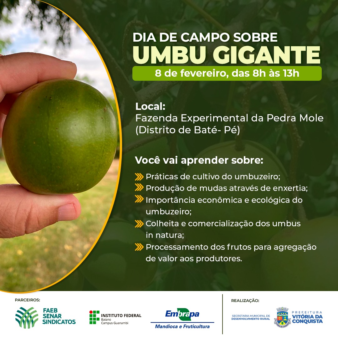 Prefeitura realiza Dia de Campo neste sábado para incentivar cultura do ...