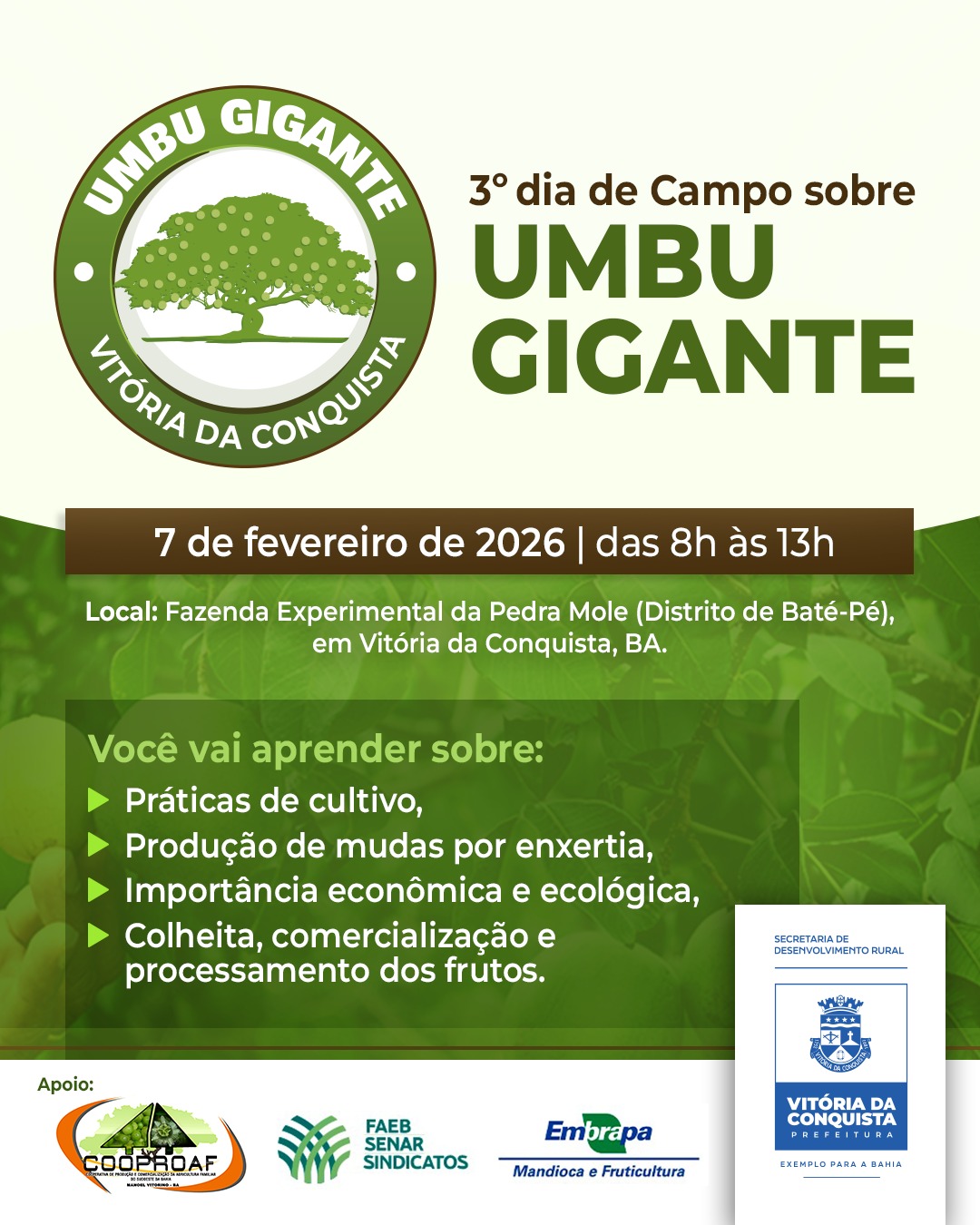 Prefeitura de Vitória da Conquista promove o 3º Dia de Campo do Umbu ...