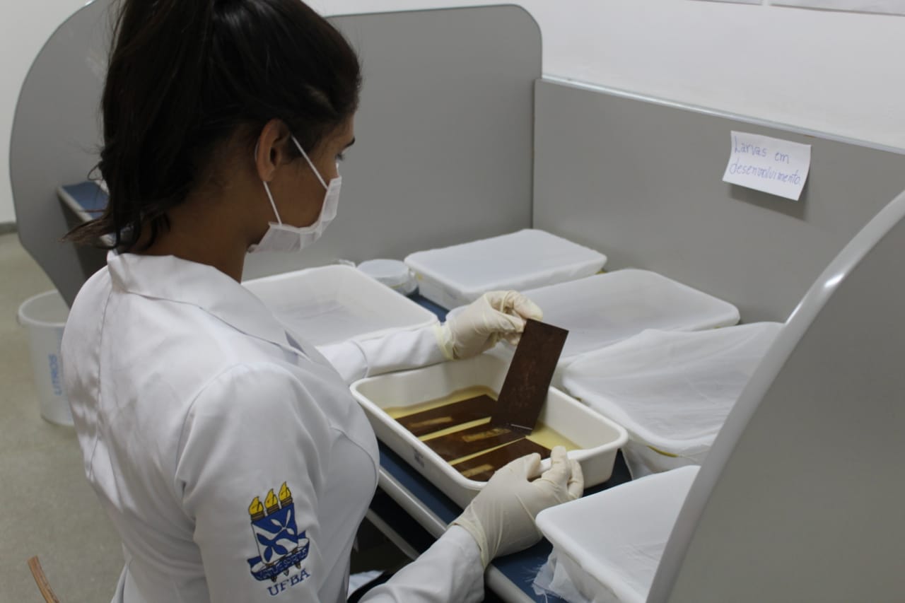 laboratorio-ufba-aedes1 - Prefeitura Municipal de Vitória da Conquista ...