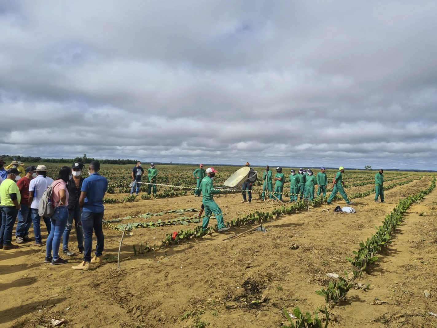 palmas-semana-do-leite-b - Prefeitura Municipal de Vitória da Conquista ...
